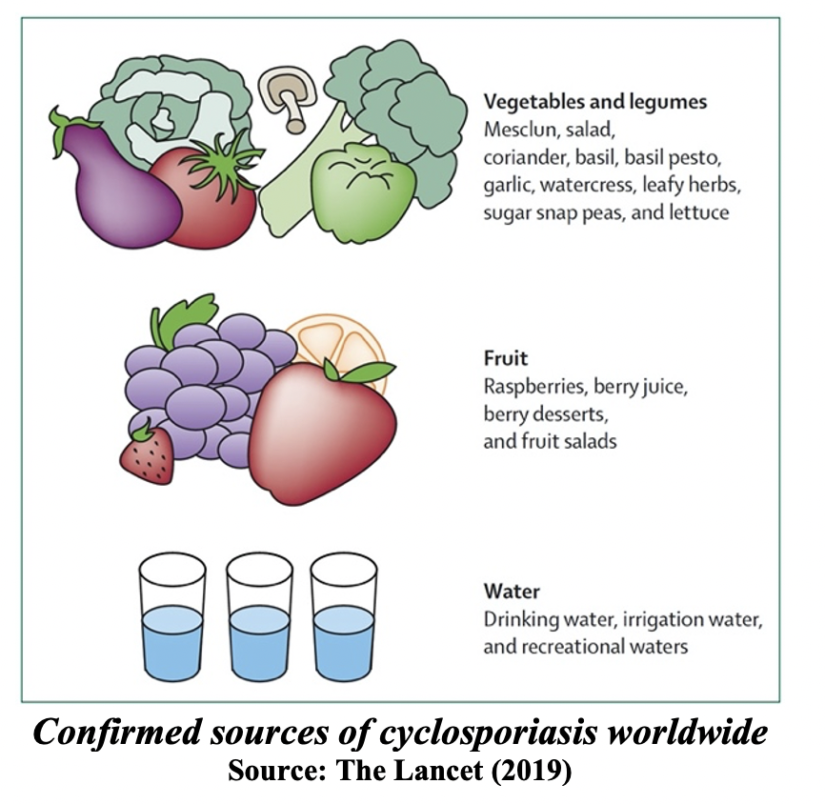 What is Cyclospora cayetanensis? | Cyclospora Blog